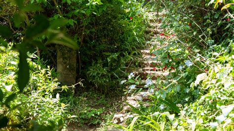 2023年5月の鎌倉（その 4） Linux Apache Mariadb Python ブログ