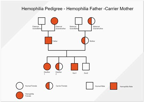 Hemophilia Genogram Edrawmax Templates