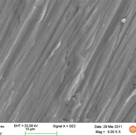 Surface Topography After Gas Oxidation Of Titanium Two Different