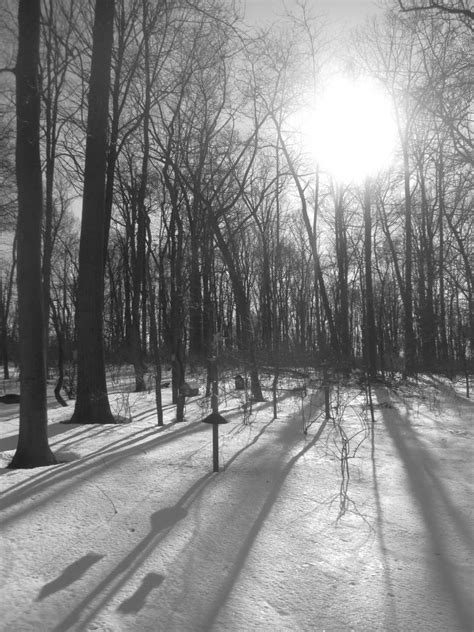 Bw Sun Glare By Katemb19 On Deviantart