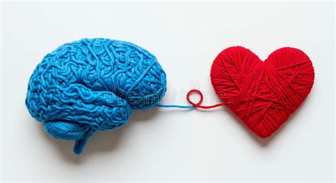 brain and heart connection conceptualizing intelligence and emotion