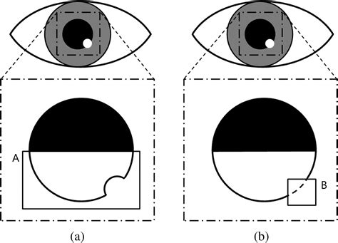 Binocular Gaze Detection Method Using A Fuzzy Algorithm Based On Quality Measurements