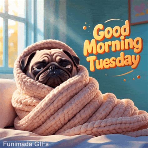 Good Morning Tuesday S And Happy Tuesday Wishes Funimada