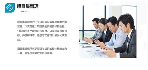 项目集管理功能介绍 有谱软件