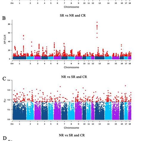 Selective Sweep Analysis For Three Climatically Isolated Chinese