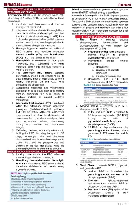 Erythrocyte Metabolism And Membrane Structure Bio 301 Lecture Notes