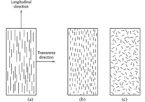 schematic representation of the orientation of fiber reinforced