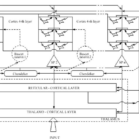 Functional Diagram Of Visual Cortex And Thalamus Interaction Download Scientific Diagram