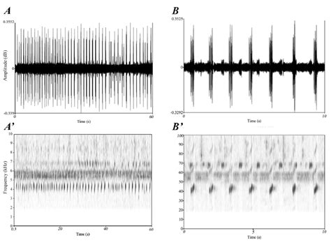 A Waveform And A Spectrogram Of A 60 Seconds Sequence Of The Trill Download Scientific