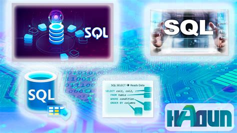 Язык структурированных запросов sql Новосибирск
