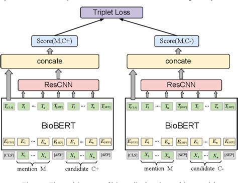 Figure 1 From Biomedical Entity Linking Based On Global And Local