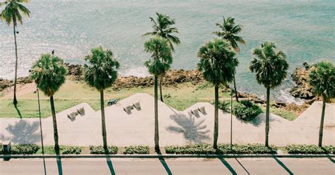 야자수와 바다를 배경으로 한 해변의 전망 사진 Unsplash의 바다 이미지