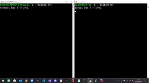 Scapy を用いて Sn実験2 で実装した Tcp サーバに Syn Flood 攻撃をしてみた． 立命館大学サイバーセキュリティ研究室