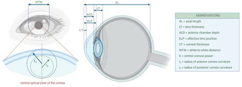 Embracing The Future Unveiling The Latest Trends In Ocular Biometry