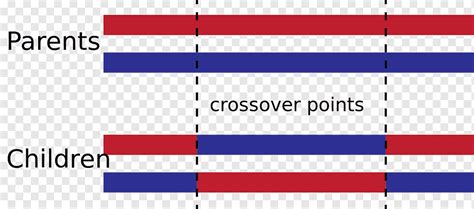 Crossover Genetic Algorithm Genetics Genetic Recombination Genetic Algorithm Blue Angle Text