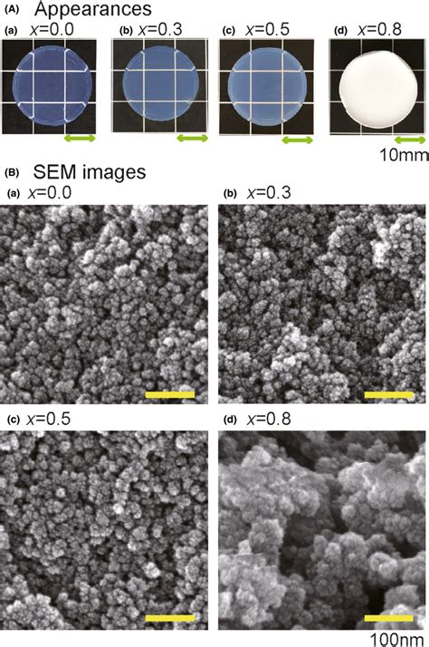 Appearances A And Cross‐sectional Scanning Electron Microscope Sem Download Scientific