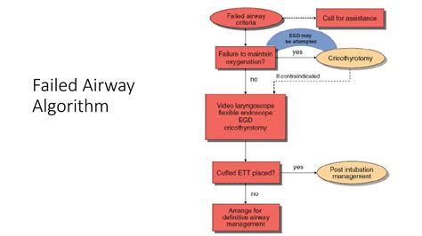 Airway Algorithm Pptx