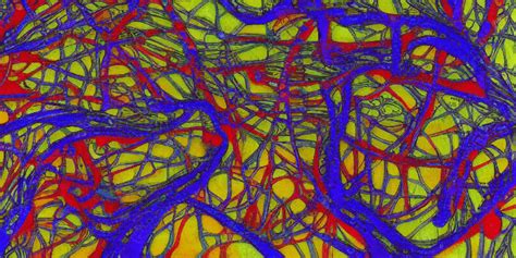 Deep Residual Learning For Image Recognition A Breakthrough In Training Deep Neural Networks