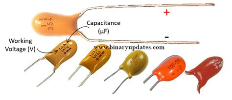 Tantalum Electrolytic Capacitor BINARYUPDATES