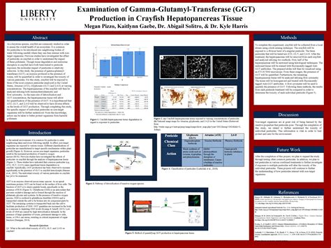 Examination Of GammaGlutamylTransferase GGT Production In Crayfish Hepatopancreas