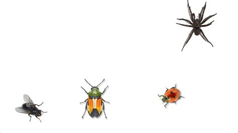 Bug On Screen Prank Fake Error And Fun Prank Simulator