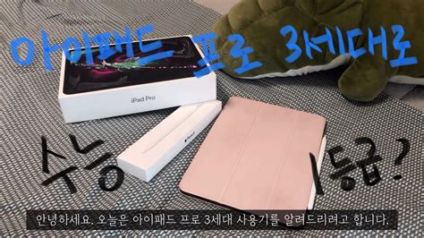 🍎수능 영어사탐 만점자의 아이패드 프로 3세대 사용기 아이패드로 공부하고 수능 1등급 굿노트 활용법 동사생윤 필기노트 공개 아이패드로 필기하면 기분이