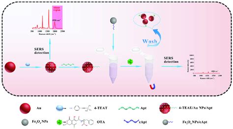 Schematic Representation Of The Principle For The Alkyne Mediated Sers