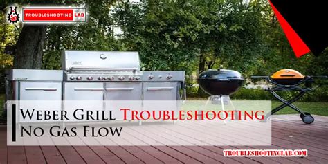 Badger Insinkerator Troubleshooting Quick Fixes