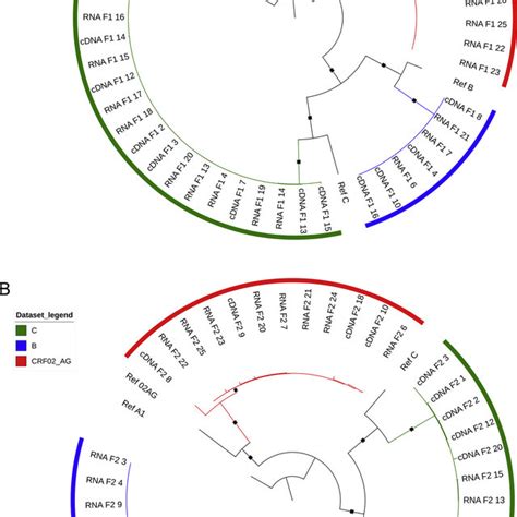 Pdf Single Genome Sequencing Of Near Full Length Hiv 1 Rna Using A