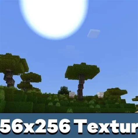 Download 256x256 Texture Pack For Minecraft Bedrock Edition