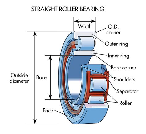 3 Straight Or Cylindrical Roller Bearings Can Be Found In Applications Like Conveyor Belt