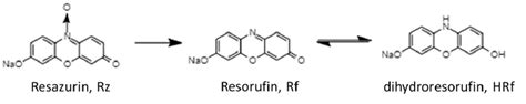 6 Resazurin Rz Undergoes An Irreversible Reduction To Resorufin