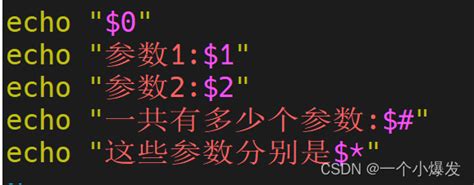 shell中变量和常见符号 shell 输出变量的值 符号 csdn博客