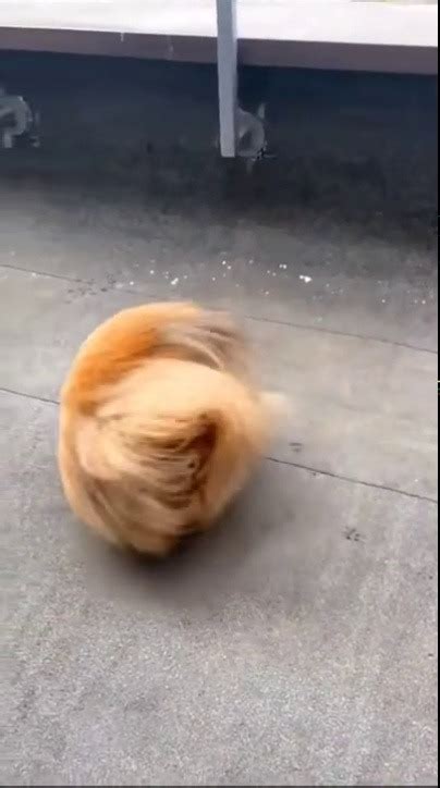 Post Mysterious Prophetess Tumblr Com Tumbex