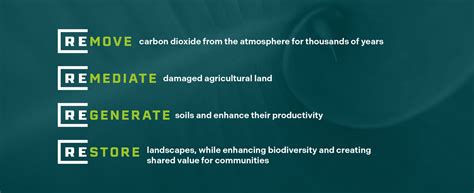 About Us Re Vi Group