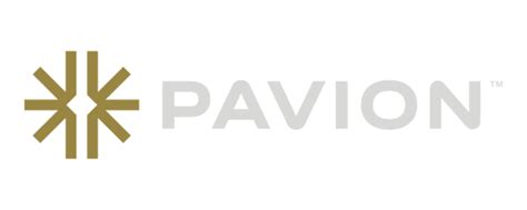 Pavion Access Control Systems And Services
