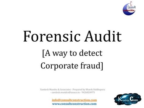 Forensic Audit Pdf