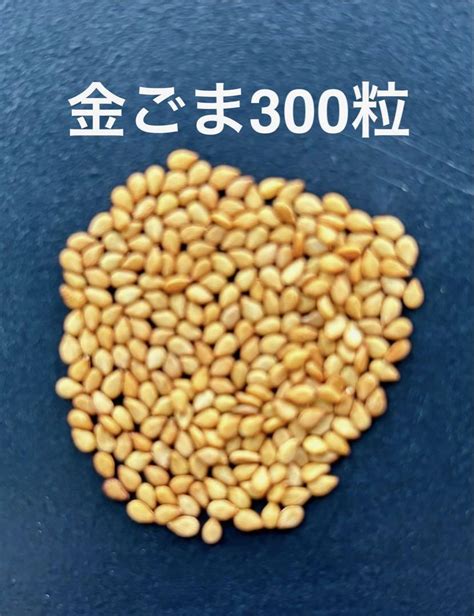 ごまの種 金ゴマ 300粒 メルカリ