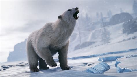 Arctic Update News — Rust