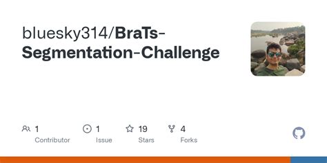 github bluesky314 brats segmentation challenge