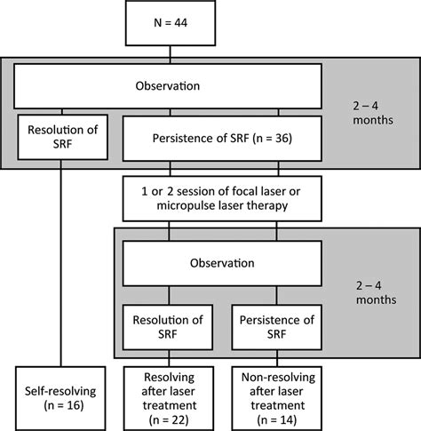 Flowchart Showing The Categorization Of The Patients Included Download Scientific Diagram