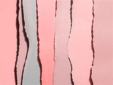 2 페이지 찢어진 종이 Png 사진 무료 고품질 사진 다운로드 Freepik