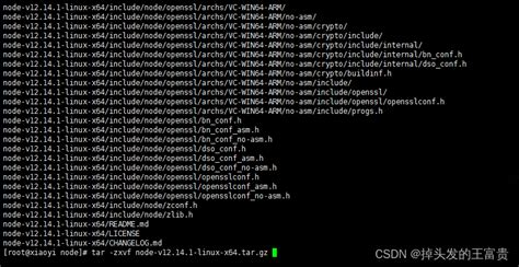Linux安装Node js图文解说详细版 阿里云开发者社区