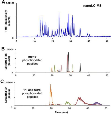 Nanolc Ms Separation Of Post Translational Modified Synthetic Peptides Download Scientific