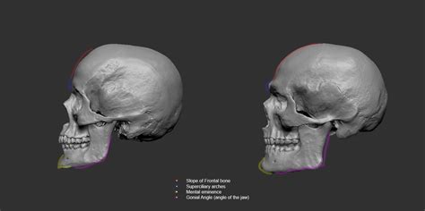Digital Sculpture Digital Sketchbook