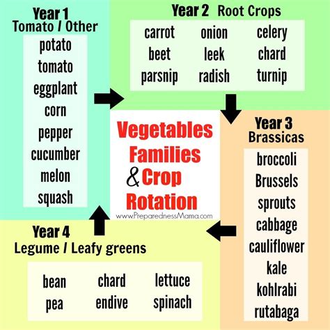 Printable Crop Rotation Chart