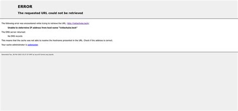 postmortem report the dns blunder that made my website bihub by