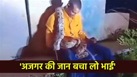 Viral शरीर से लिपटा रहा अजगर मौज लेता रहा शराबी लोग बोले सांप को