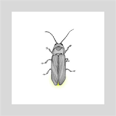 Lightning Bug An Art Print By Christopher Miller Inprnt