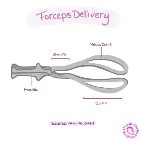 Parts Of The Foreceps Midwifery Nursing School Tips Midwifery Student